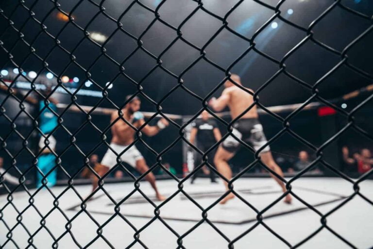 Everything You Need To Know About Combat Sports | Sports Economist