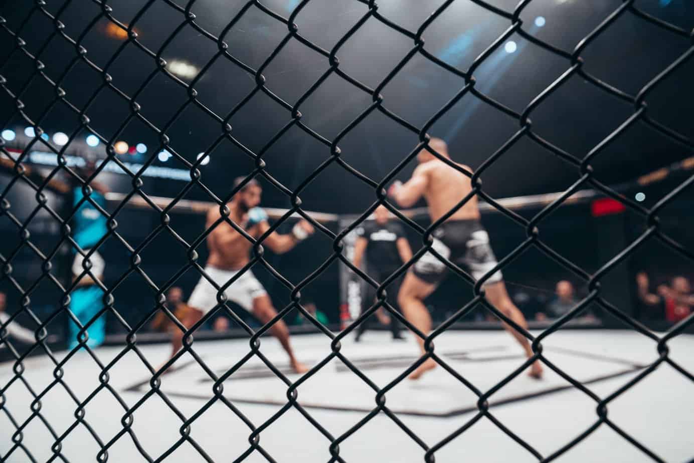 Everything You Need To Know About Combat Sports | Sports Economist