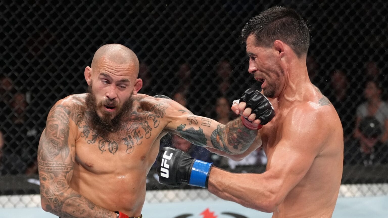 10 Best UFC Fighters Of All Time By Weight Class: A Comprehensive ...